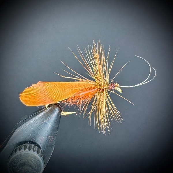 Joe’s October Caddis – Fly Vault™