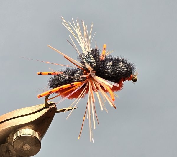 Sunken Cicada – Fly Vault™