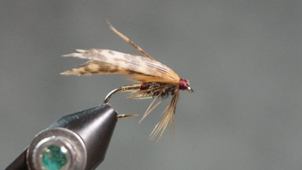 Alder – Fly Vault™