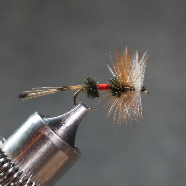 Royal Coachman Bivisible – Fly Vault™