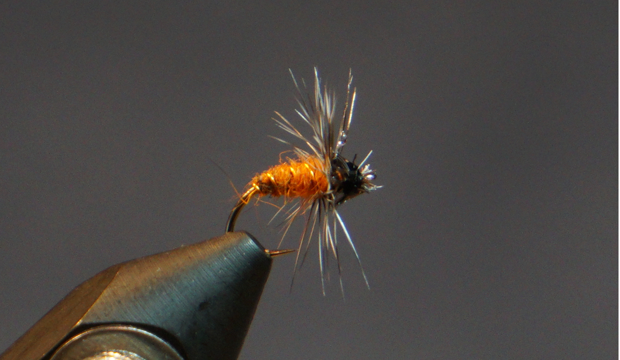 Breadcrust – Fly Vault™