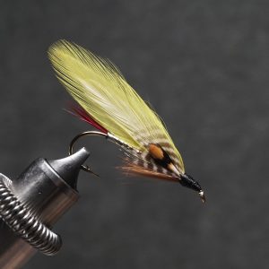 Colonel Bates – Fly Vault™