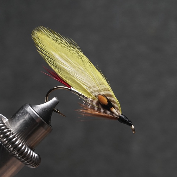 Colonel Bates – Fly Vault™