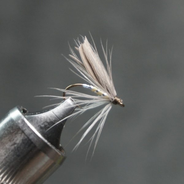 Fern – Fly Vault™