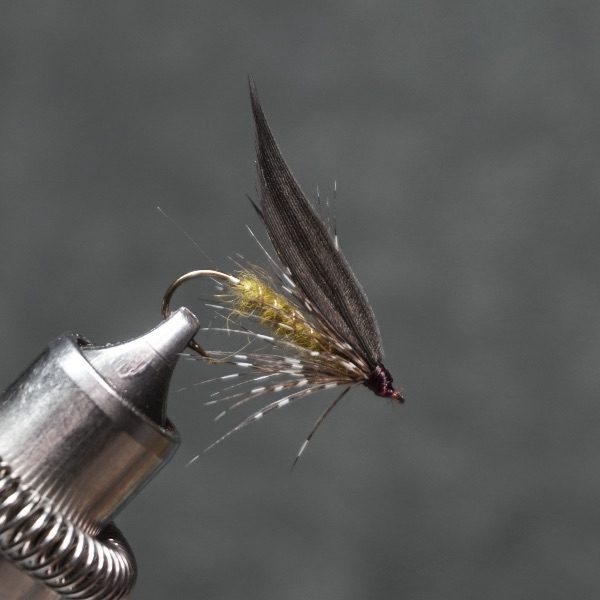 Golden Monkey – Fly Vault™