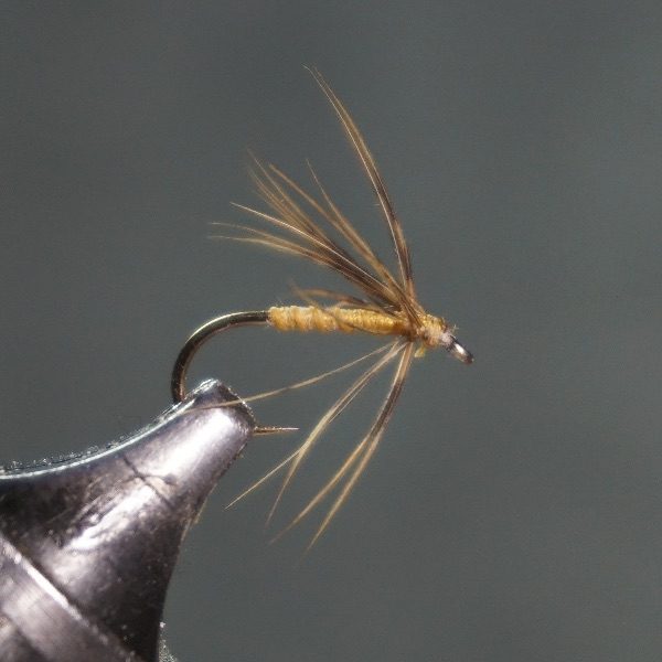 Greenwell Spider (variant) – Fly Vault™