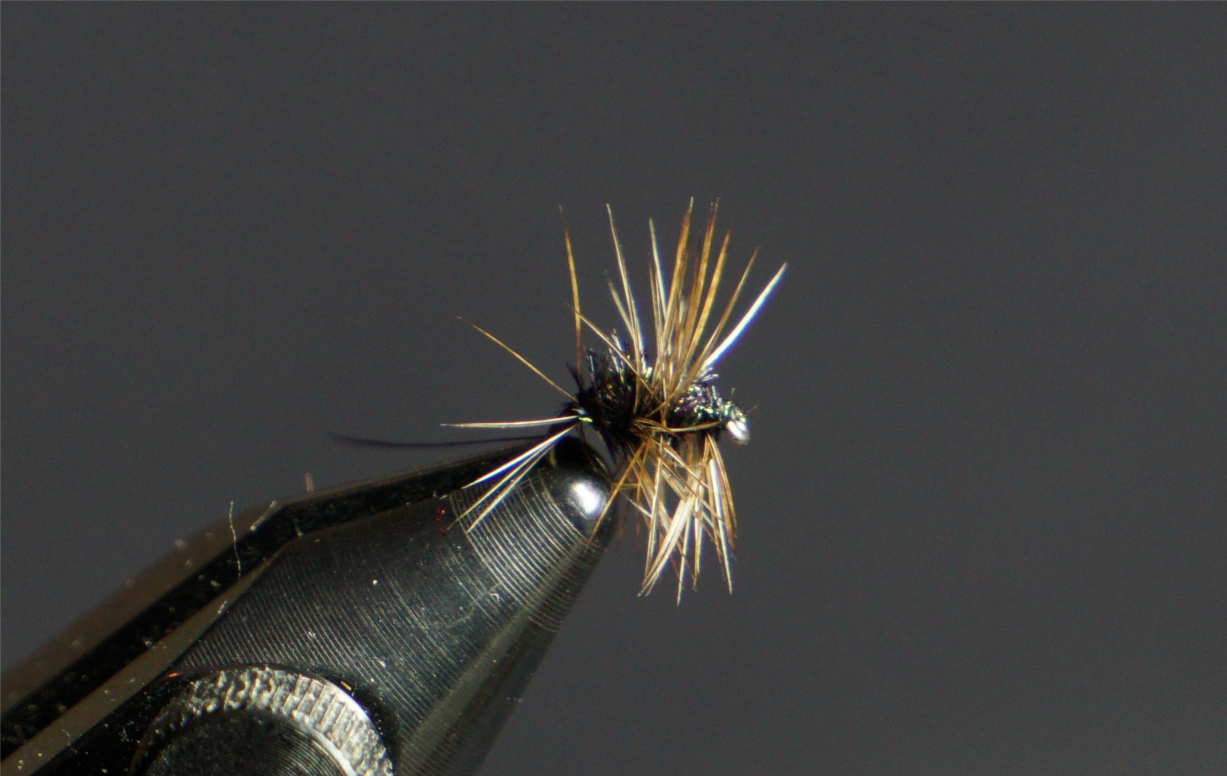 Griffith’s Gnat – Fly Vault™