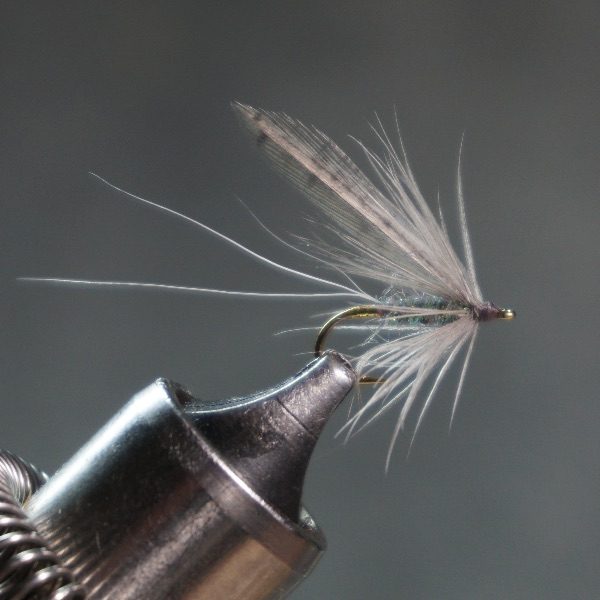 Blue Dun – Fly Vault™