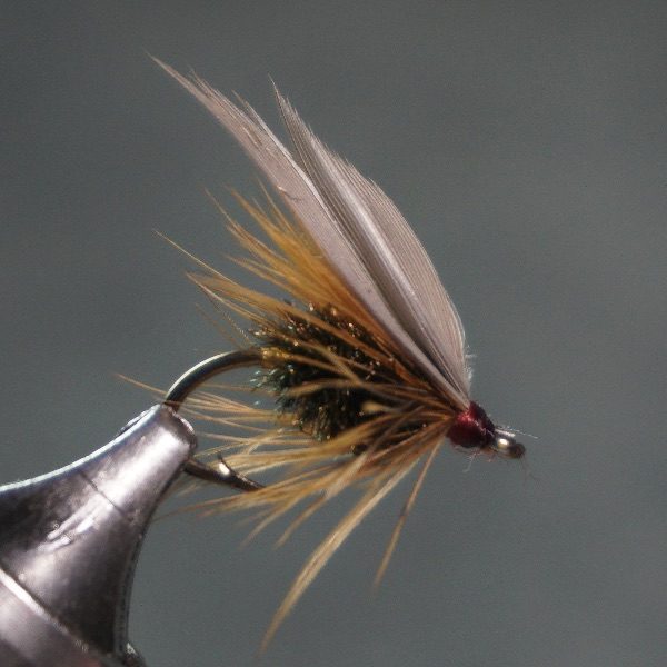 Leadwing Coachman – Fly Vault™