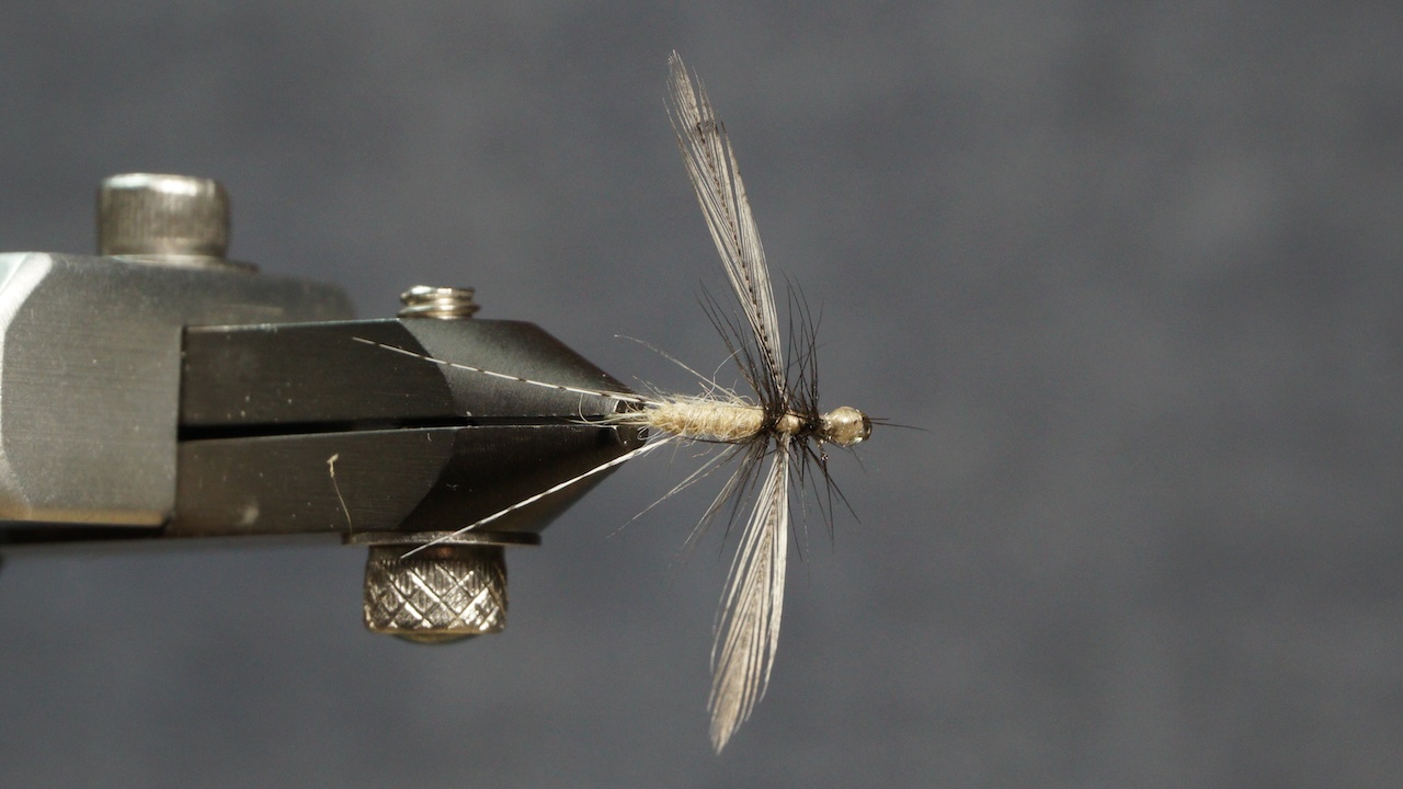 Mayfly spinner (imago) – Fly Vault™