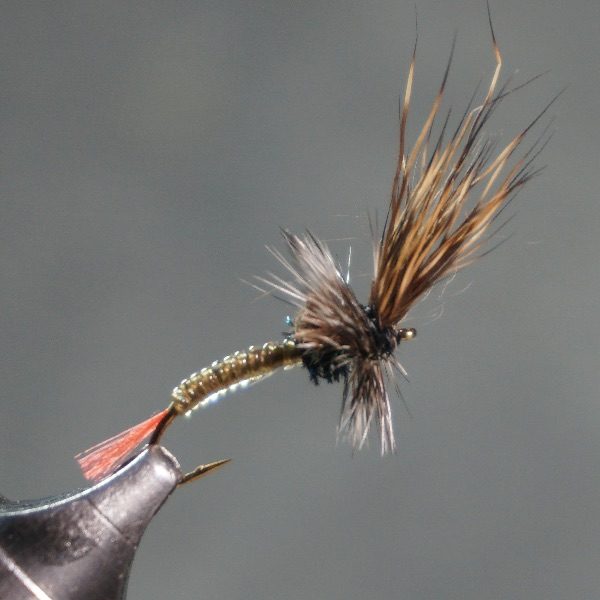 Fly Vault™ – Fly Vault™