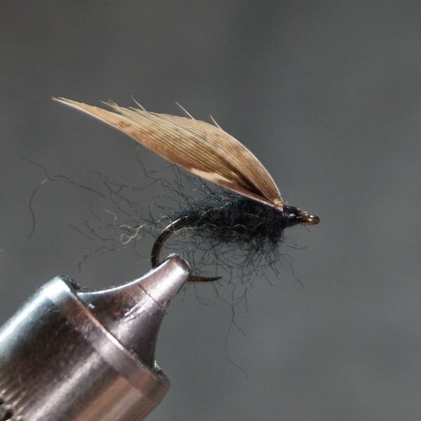 Alder (Thaddeus Norris) – Fly Vault™