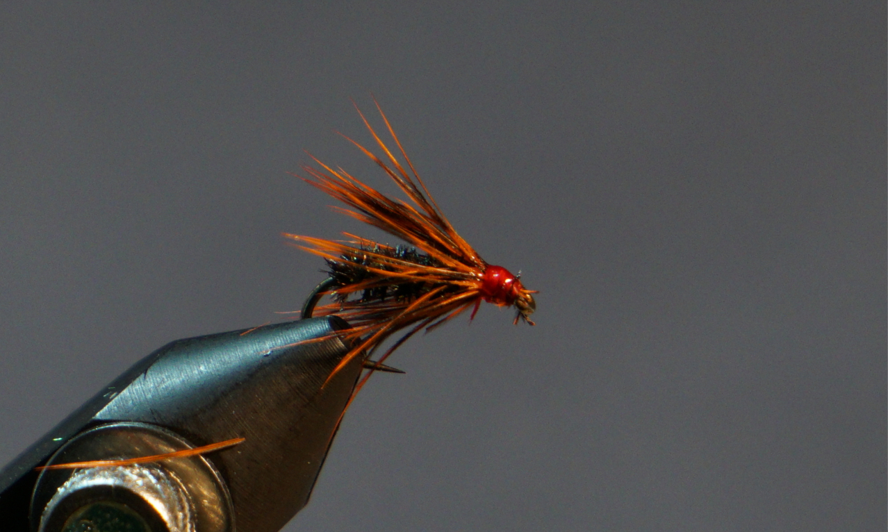 Red Hackle – Fly Vault™